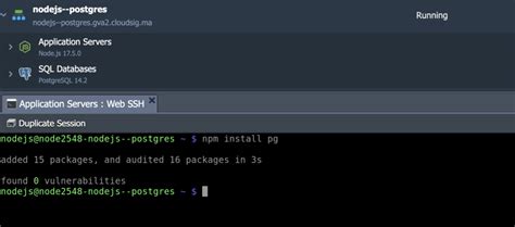 how to connect postgresql with node js application jelastic connecting