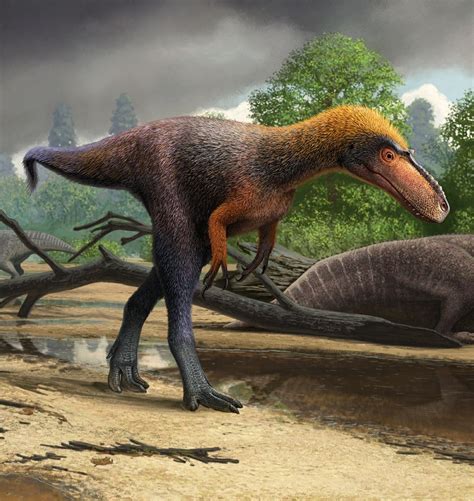 Species New To Science [paleontology • 2019] Suskityrannus Hazelae • A