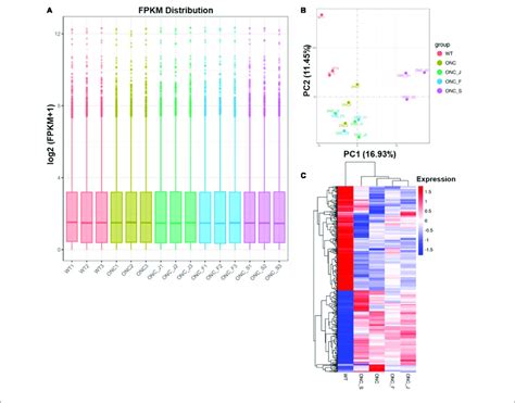 Quantitative Analysis Of Retinal Gene Expression A Boxplot Shows