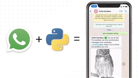 whatsapp api python