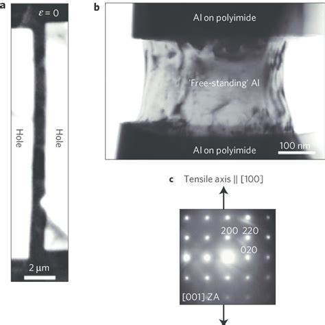 Pdf In Situ Observation Of Dislocation Nucleation And Escape In A