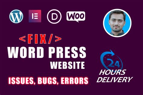 fix wordpress errors bugs issues wordpress expert elementor pro css