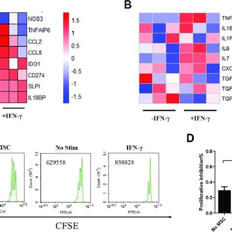 Ifn γ Treatment Licenses The Immunosuppressive Reprogramming Of