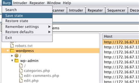 آشنایی با متدولوژی Burp Suite بخش چهاردهم شناسایی مشکلات Access Control