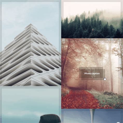 magnific responsive gallery with css columns coding fribly web