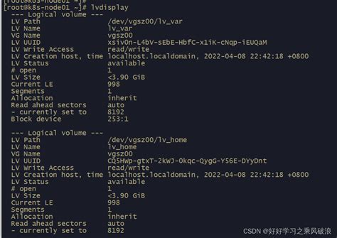 linux服务器vg扩容、lv扩容 vg扩容命令 csdn博客