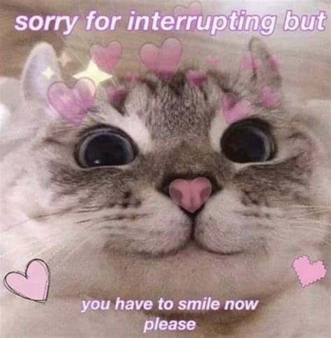 Wholesome Memes To Give You A Dose Of Serotonin 27 Memes Cute Love