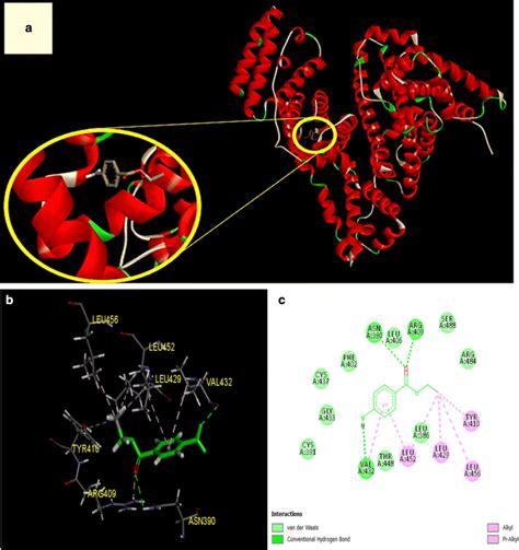 Lowest Binding Energy Docked Conformation A Benzocaine Bound To