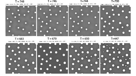 Formation Of A Bimodal Microstructure With A Cooling Rate Of 5 °c S