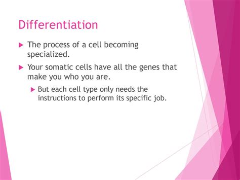Cell Differentiation Ppt Download