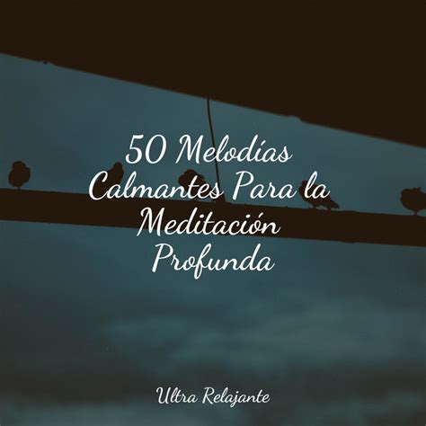 50 Melodías Calmantes Para La Meditación Profunda Album By Música