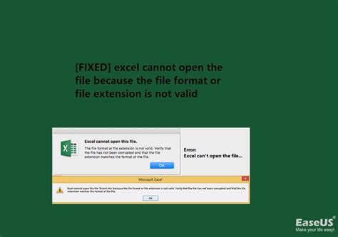 excel cannot open the file because file format or file extension is not