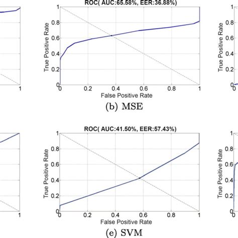 spatiotemporal features learned by autoencoder and principal component