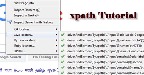 selenium xpath tutorial step by step guide provides real