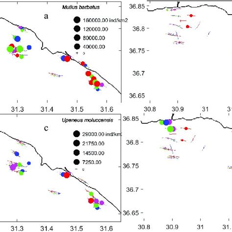 Spatiotemporal Abundance Ind Km 2 Distribution Circles Log 10
