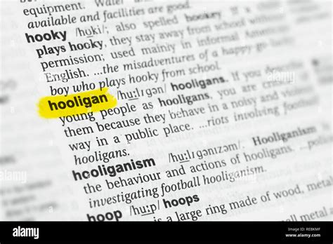 Highlighted English Word Hooligan And Its Definition At The