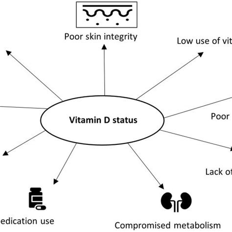 Factors Affecting Vitamin D Status In Older Adults Download