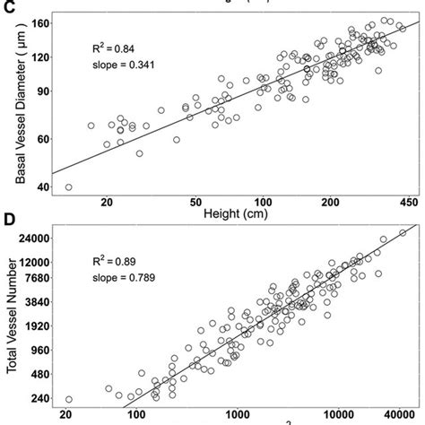 Scaling Relationships Of Total Leaf Area With Height And Vessel Traits