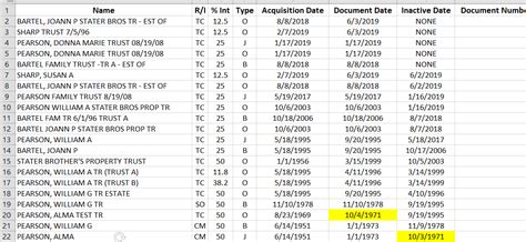 database ownership partners grouping using excel vba