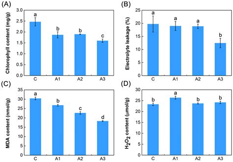Ijms Free Full Text Comparative Transcriptomic And Physiological
