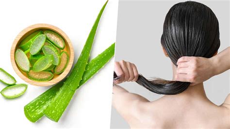 Aloe Vera For Hair Growth Aloe Vera For Hair Benefits Aloe Vera Gel