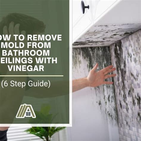 How To Remove Mold From Bathroom Ceilings With Vinegar 6 Step Guide
