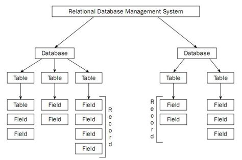 functions of database management system pdf portlandsno