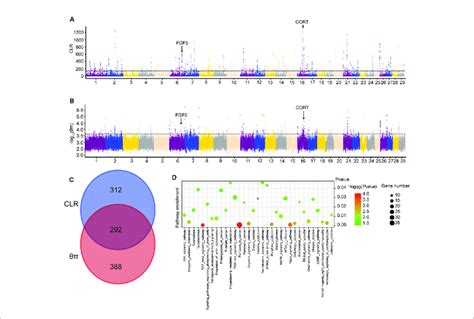 Genome Wide Selection Scan Between Yanbian And Ndama Cattle A C