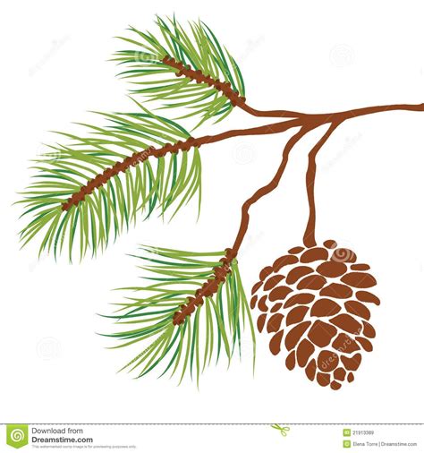 Pine Tree Branch And Cone Vector Pine Cone Art Tree Stencil Tree