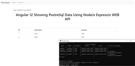 angular 12 showing postgresql data using nodejs express web api