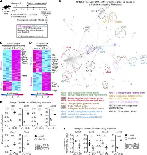 Jci Insight Transcriptome Network Analysis Identifies Protective Role