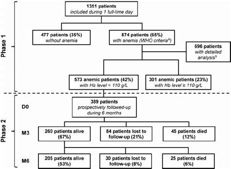 Anemia Diagnosis Algorithm