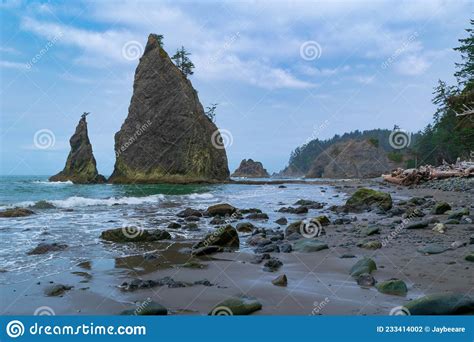 Rialto Beachâ€™s Rocky Shore Adorned By Driftwood And Sea Stacks Stock