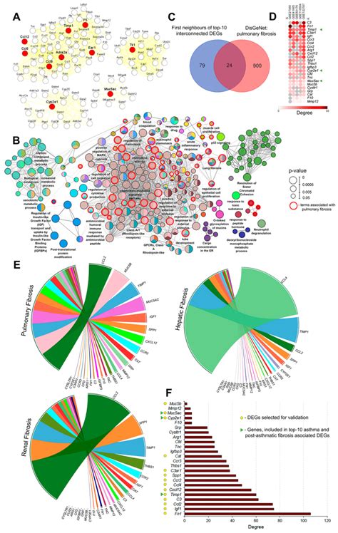Functional Analysis Of The Col4a1 And Col4a2 And Their Associated