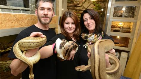 diese familie lebt mit 60 pythons and einer boa die
