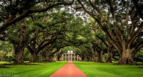 Oak Alley Plantation New Orleans Louisiana Vp 4 Association
