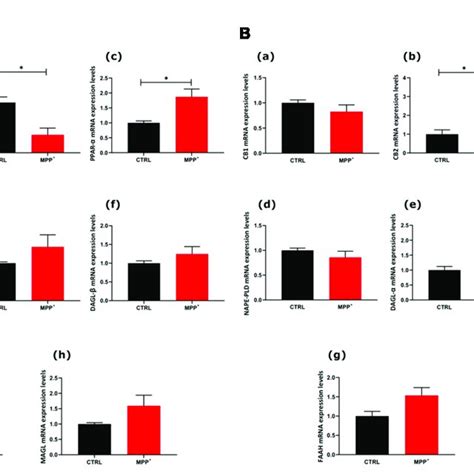 Mrna Expression Levels Of Indicated Genes Analyzed By Quantitative Pcr