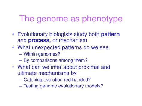 Ppt Genome Evolution Powerpoint Presentation Free Download Id 1814515