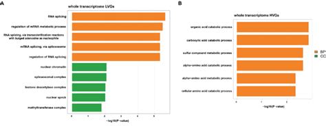 Functional Enrichment Analysis Of Highly Variable Genes Hvgs And