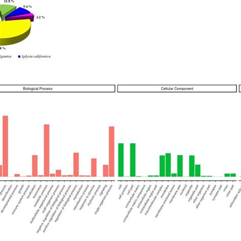 Classification Of Annotated Unigenes A Percentage Of Species