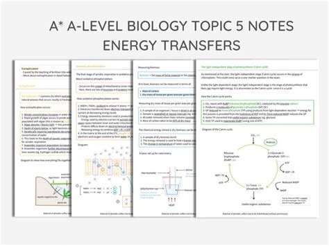 A Aqa A Level Biology Revision Notes Bundle Topics 5 8 Teaching