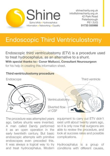 Endoscopic Third Ventriculostomy Pdf