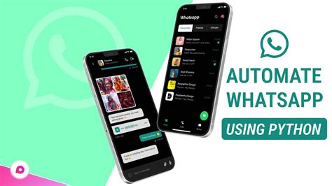 automate whatsapp message using python hack whatsapp learn python