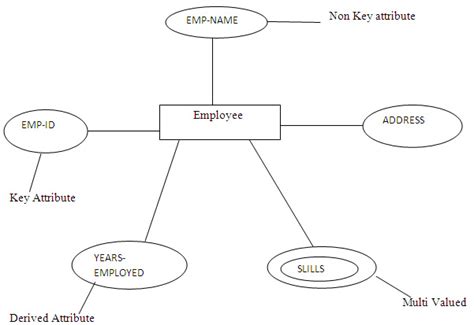what is an attribute and it s types with examples