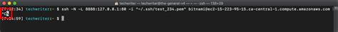 wordpress on amazon ec2 connect to an instance via ssh massolit