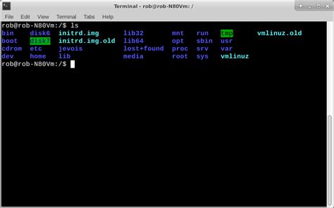 how to find root directory in linux systran box