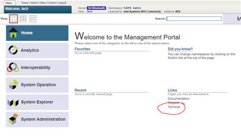 launch terminal from management portal intersystems developer community