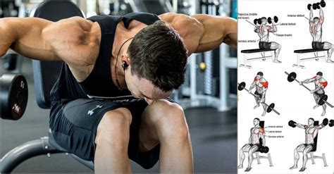 7 Muscle Building Shoulder Exercises To Build Strong 3d Shoulders