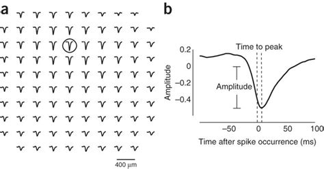 Stimulus Contrast Modulates Functional Connectivity In Visual Cortex