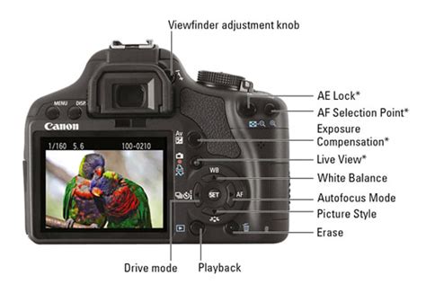 13 super useful photography cheat sheets web design ledger